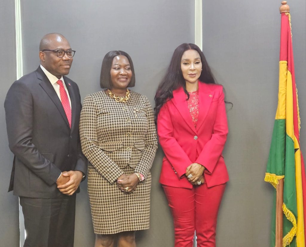 Group MD/CE of Zenith Bank meets acting CEO of MIIF - MIIF
