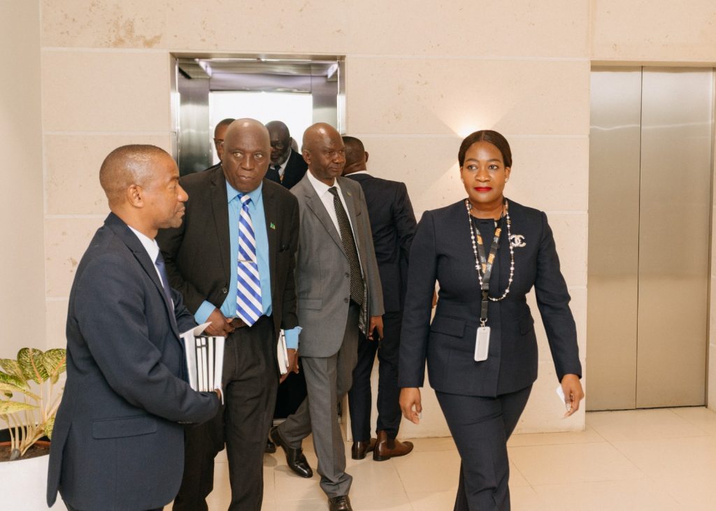 Ghana, Zambia Hold Key to Rewrite Africa’s Mining Narrative – Justina ...